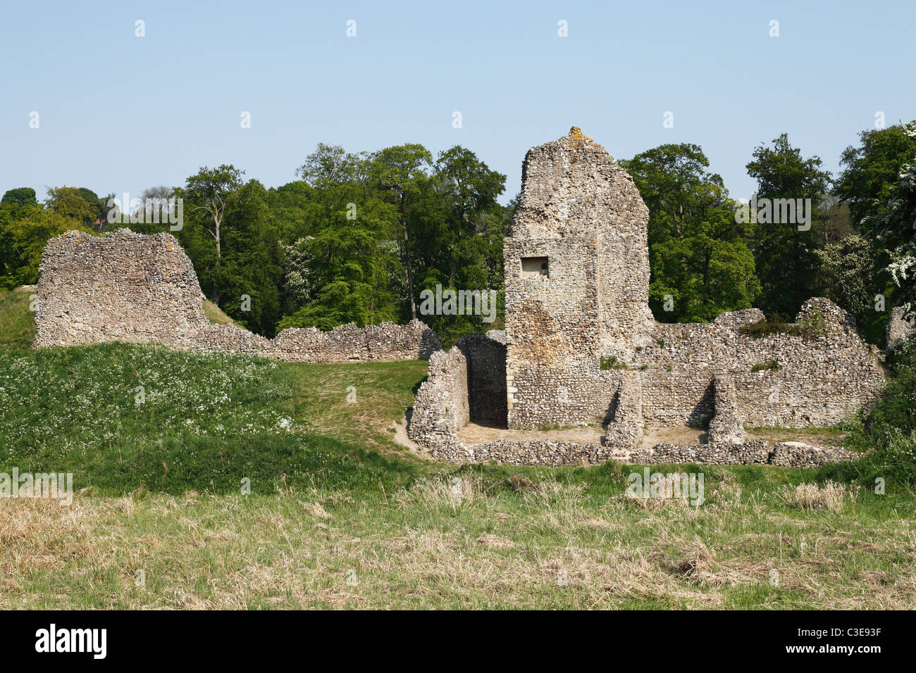 Berkhamsted Castle Ruins, Hertfordshire, England, UK Stock Photo - Alamy
