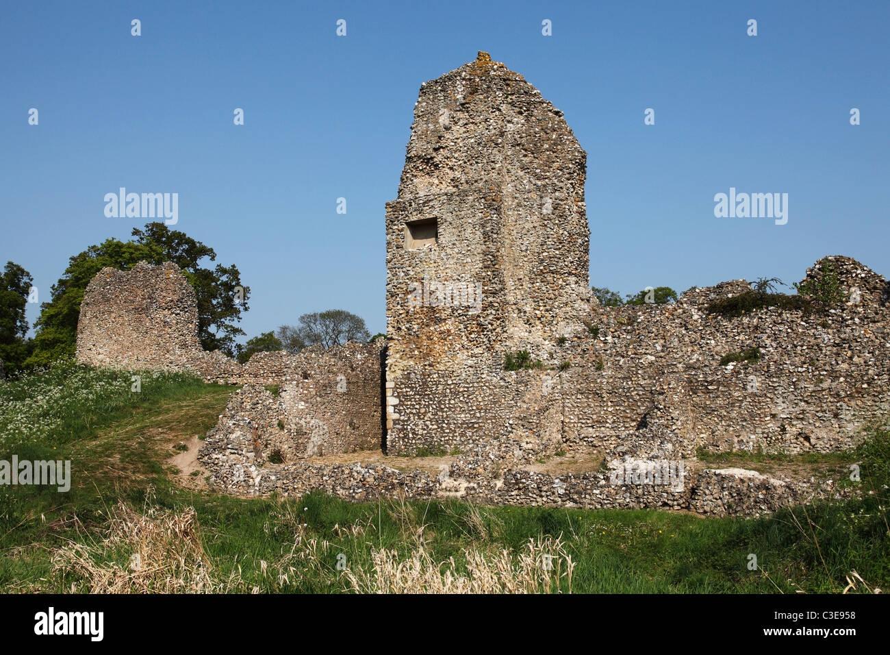 Berkhamsted Castle Ruin, Hertfordshire, England, UK Stock Photo - Alamy