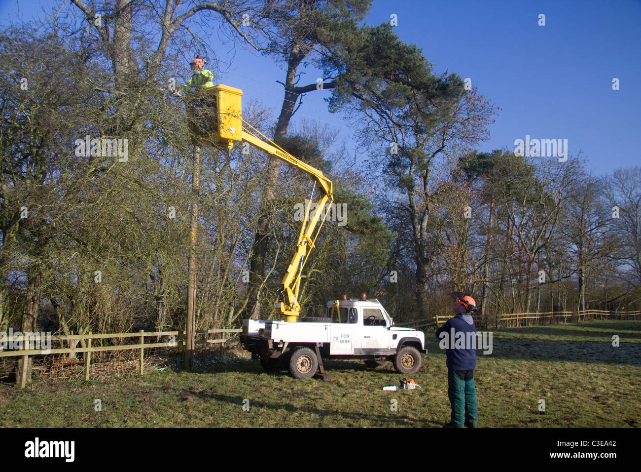 Elevated powerline tree clearance Stock Photo - Alamy