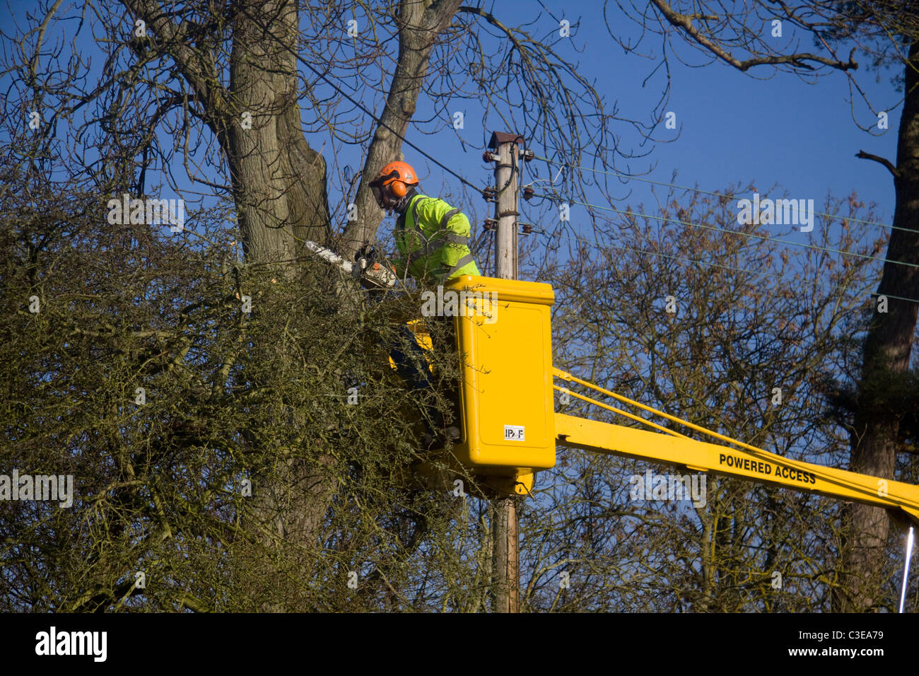 Elevated powerline tree clearance Stock Photo - Alamy