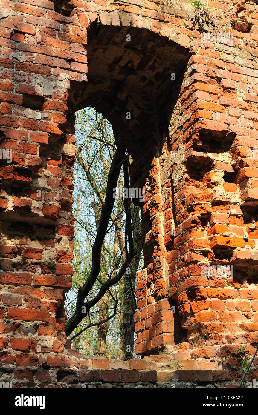 Brick wall of old castle Balga in Prussia, Kaliningrad region, Russia ...