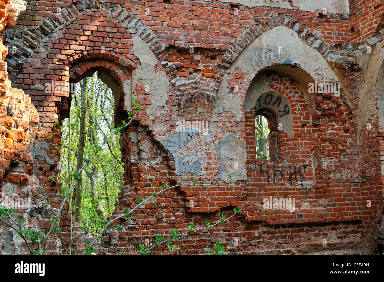 Brick wall of old castle Balga in Prussia, Kaliningrad region, Russia ...