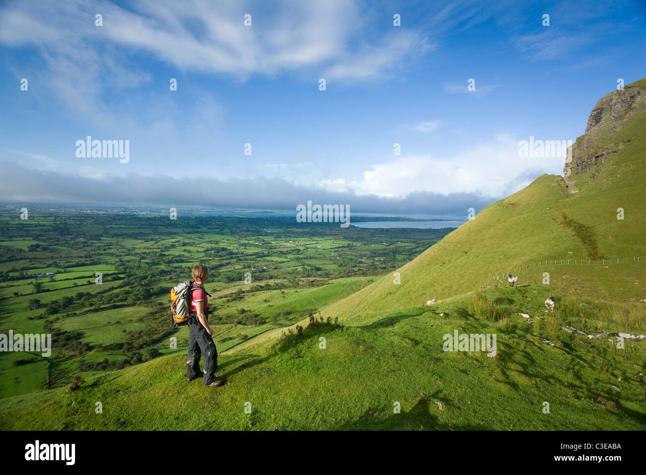 Walker ascending Benbulbin via the Kings Gully track, County Sligo ...