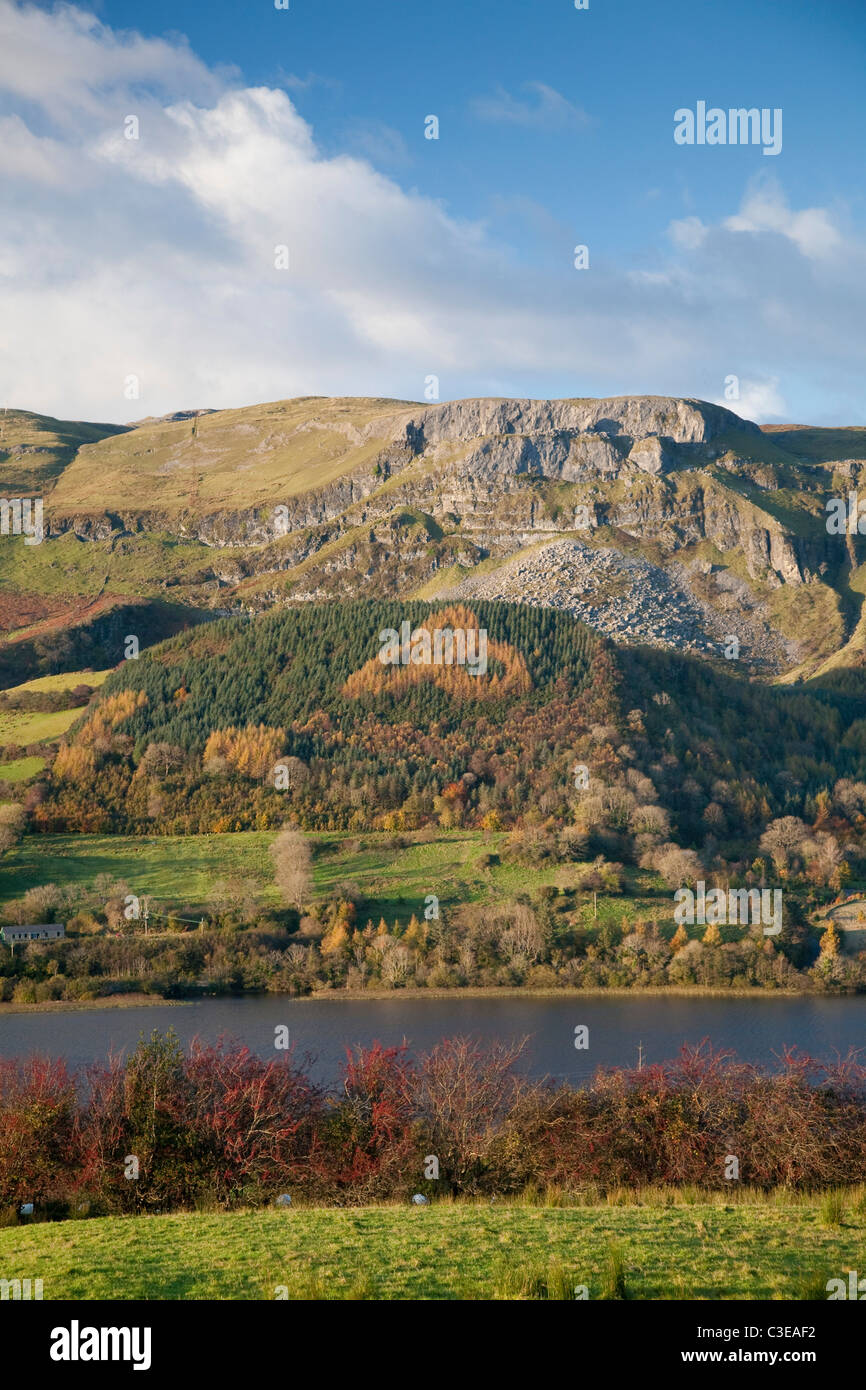 Trefoil knot hi-res stock photography and images - Alamy