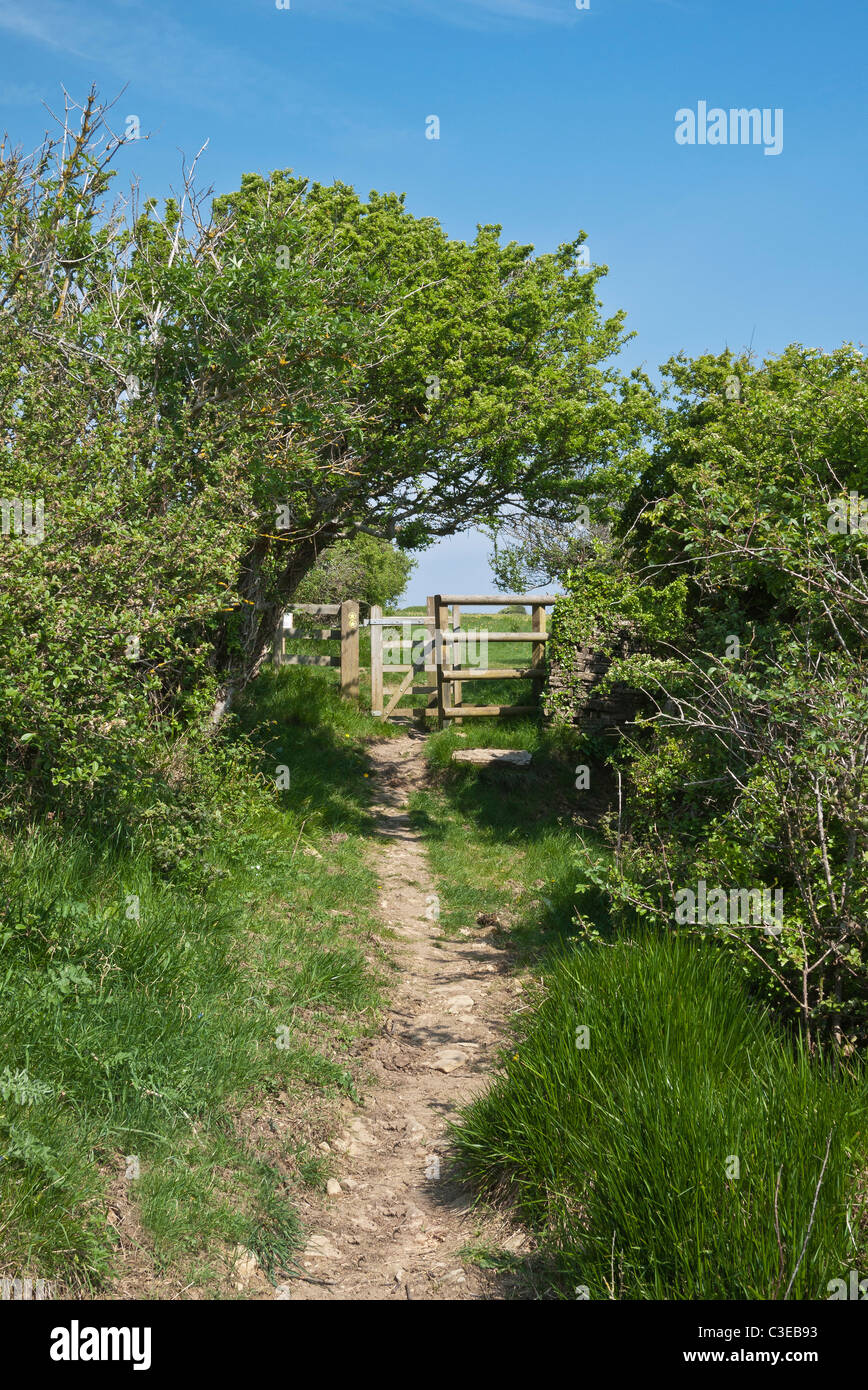 Footpath and wooden Gate, Durlston Country Park, Dorset, England, UK ...