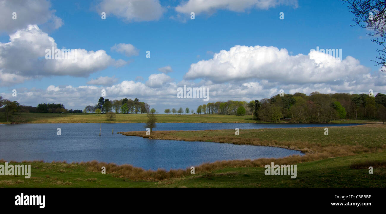 Tatton Park, Lake and Landscape, Cheshire, England, UK Stock Photo - Alamy