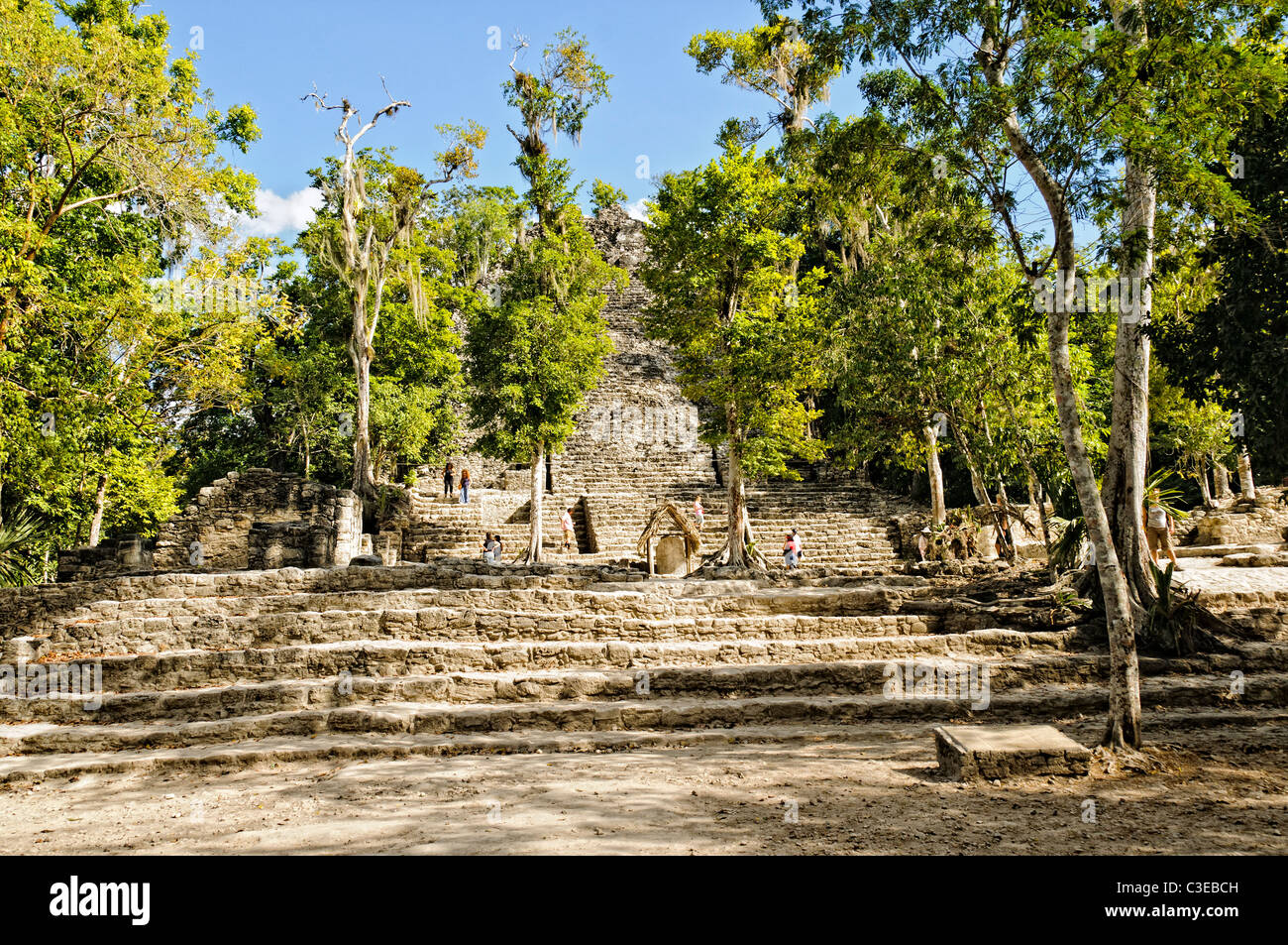La Iglesia Pyramid Maya Archaeological Site Coba Mexico // COBA, Mexico ...
