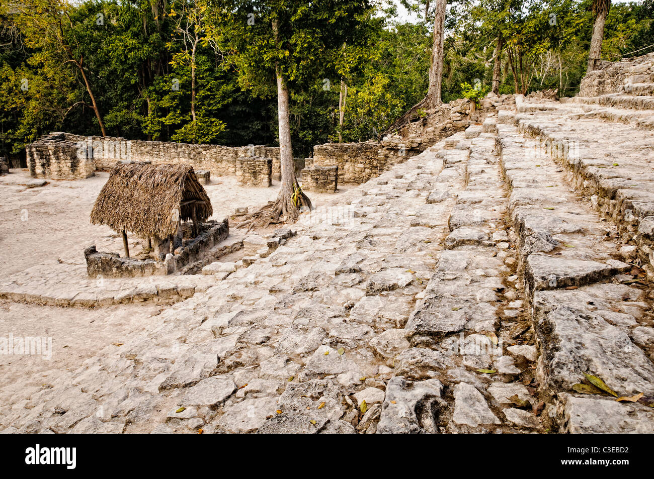 COBA, Mexico — Shot taken from part way up of the 120 steps of La ...