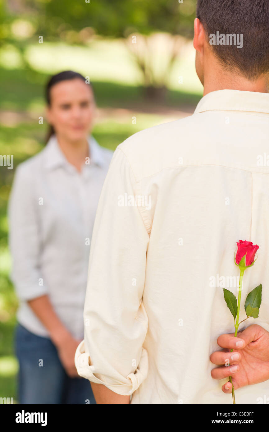 Man offering a rose to his girlfriend Stock Photo - Alamy