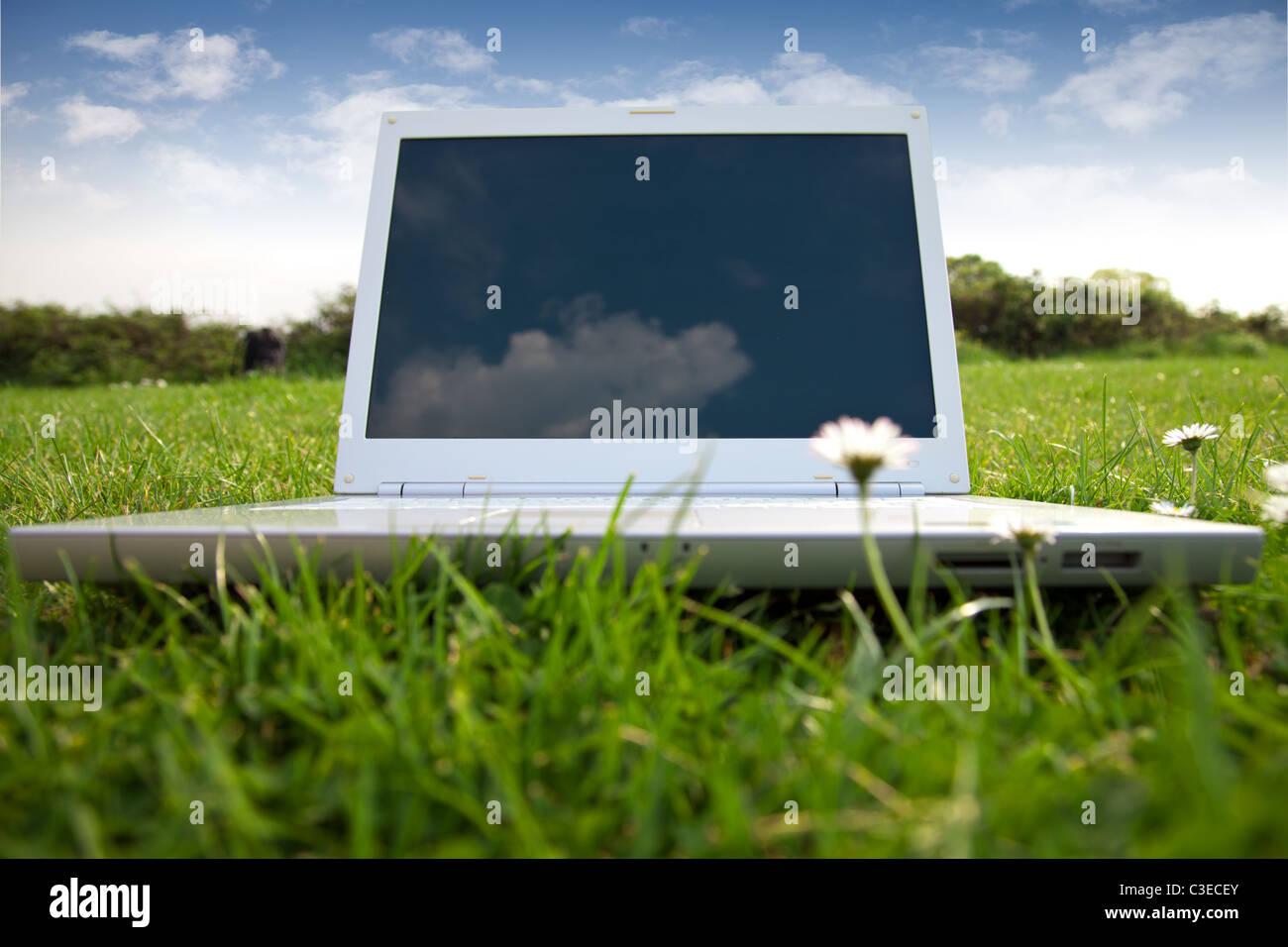 White laptop in park Stock Photo - Alamy