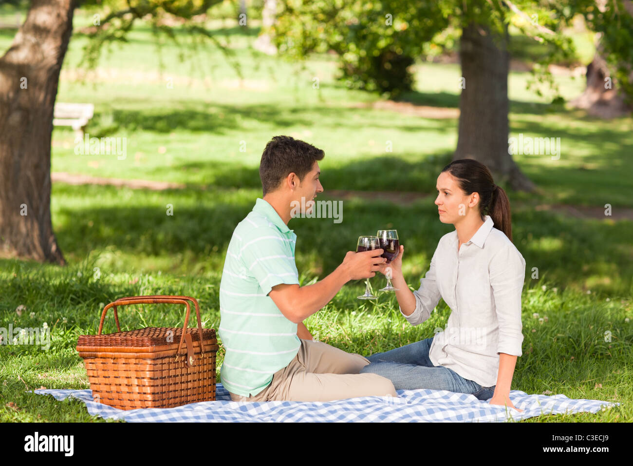 Lovely family picnicking in the park hi-res stock photography and ...
