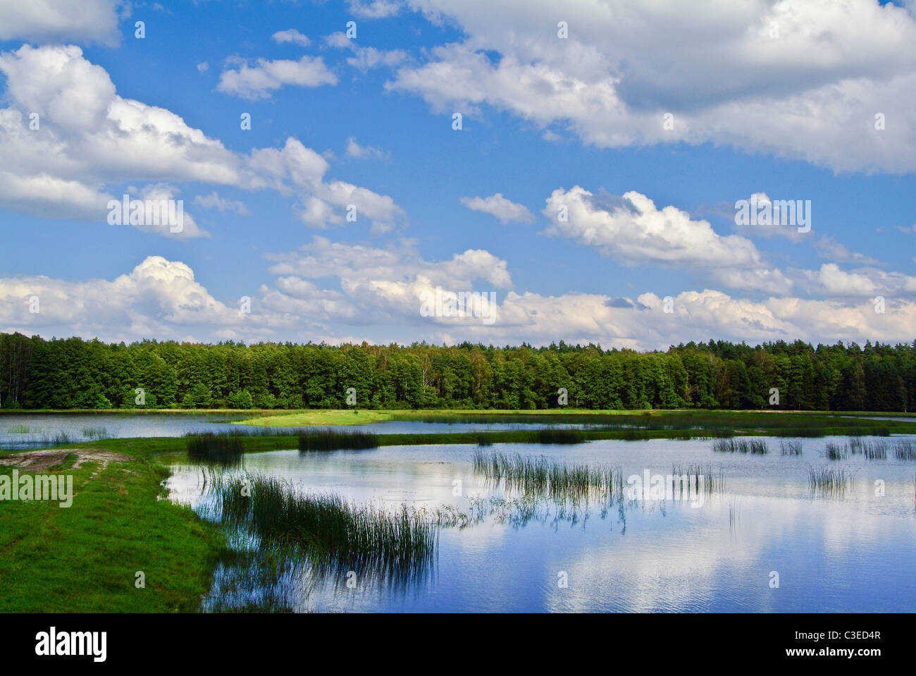 Echo Ponds in Zwierzyniec - the Roztocze region, South-Eastern Poland ...