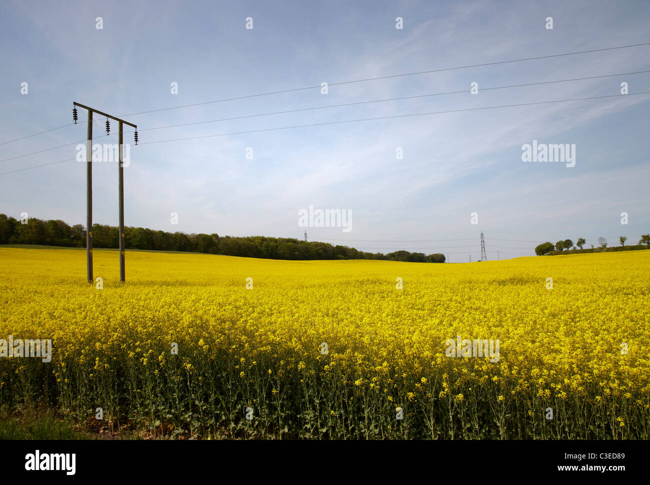 Plant cables hi-res stock photography and images - Alamy