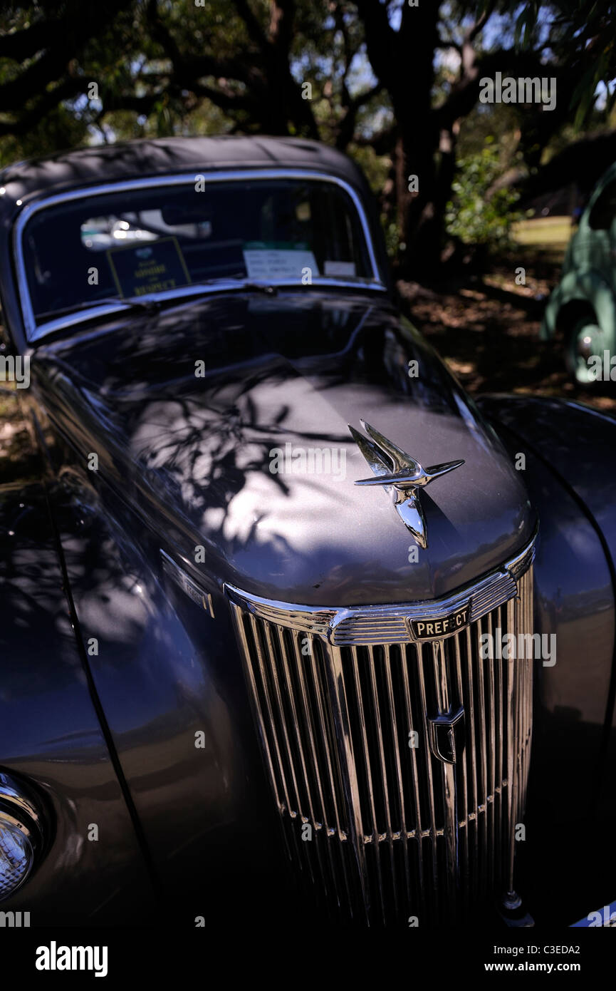 vintage 1951 Ford Prefect classic British car Stock Photo - Alamy
