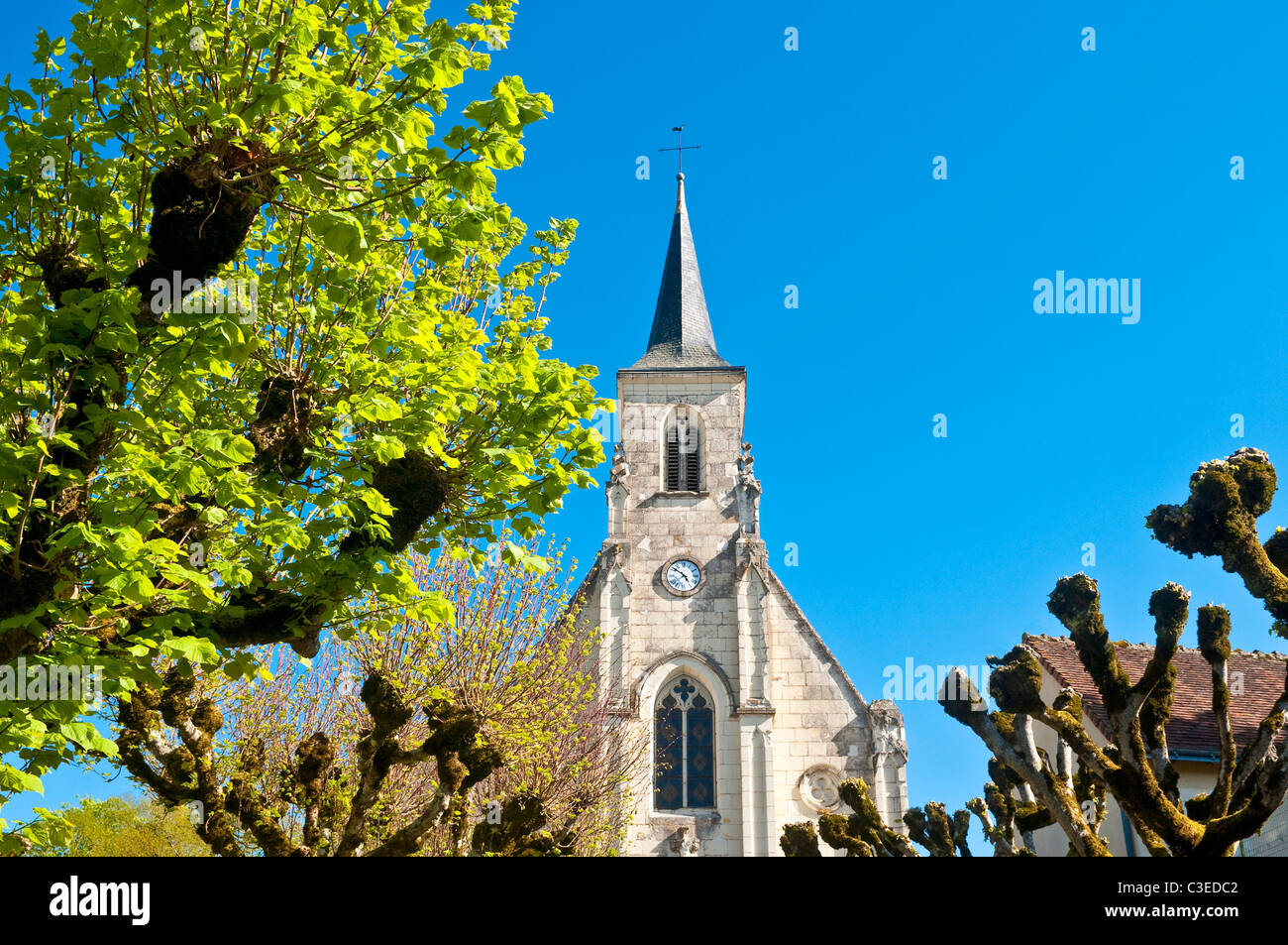 Tilleul trees hi-res stock photography and images - Alamy