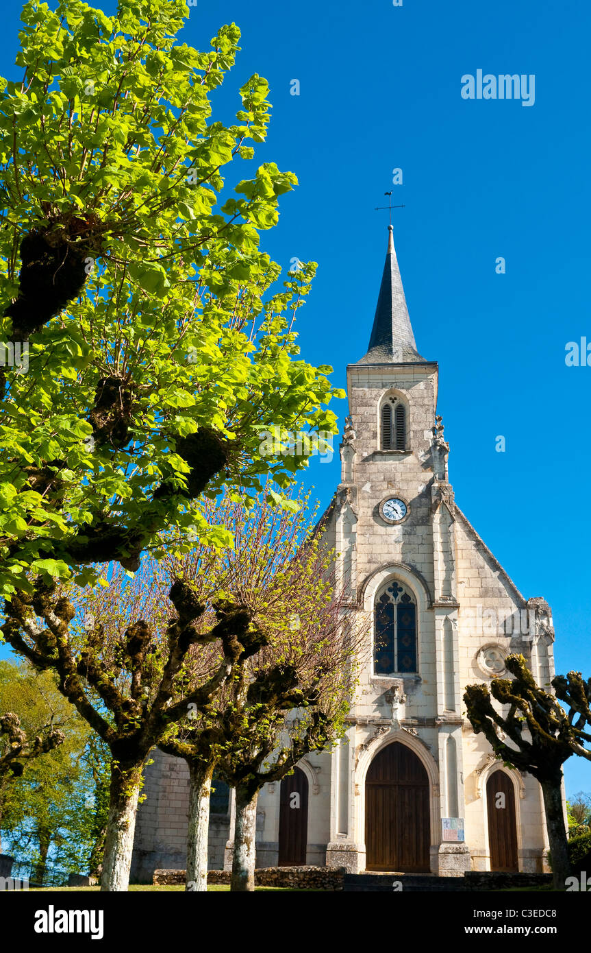 Steeple tree trees hi-res stock photography and images - Alamy