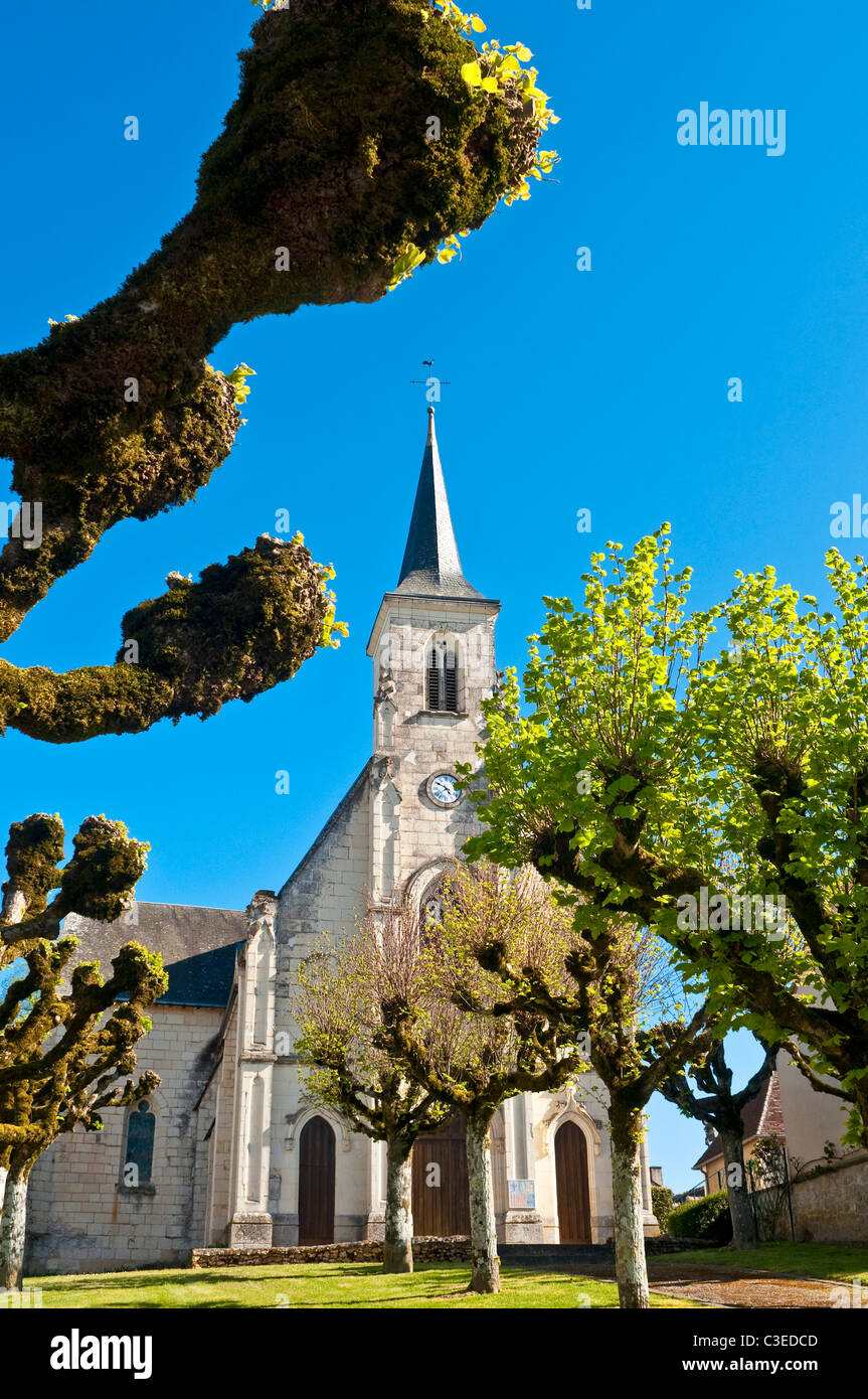 Tilleul trees in front of Boussay church - Indre-et-Loire, France Stock ...