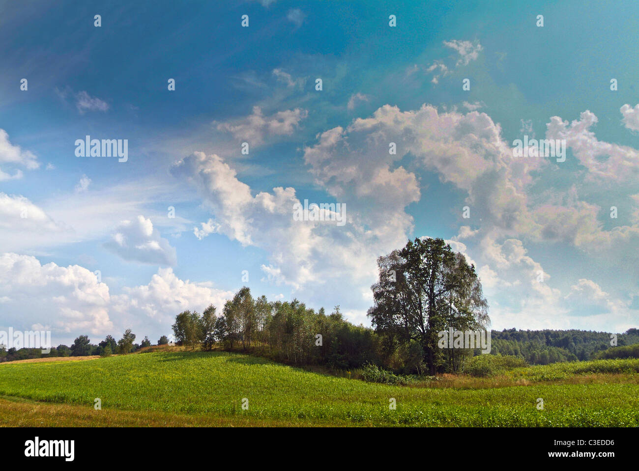 Roztocze High Resolution Stock Photography and Images - Alamy