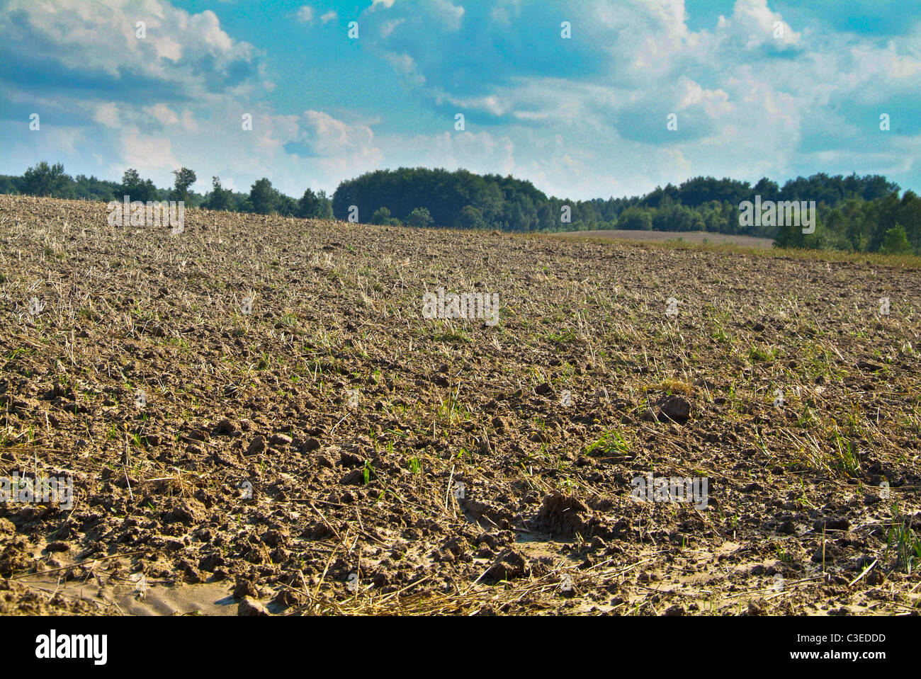 Polish fields in the Roztocze region, South-Eastern Poland Europe Stock ...