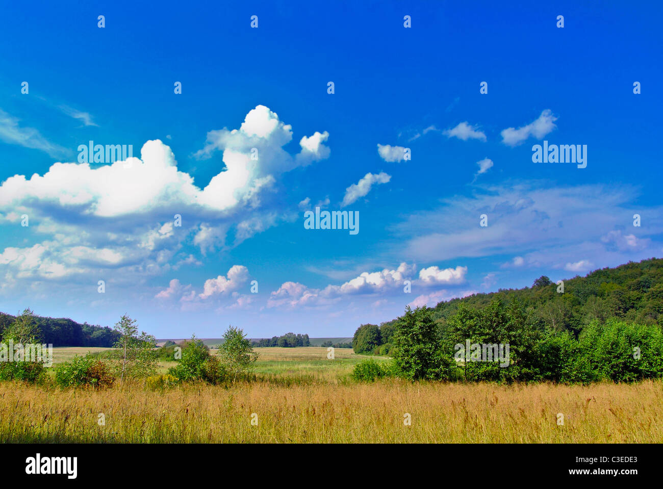 Polish agriculture hi-res stock photography and images - Alamy