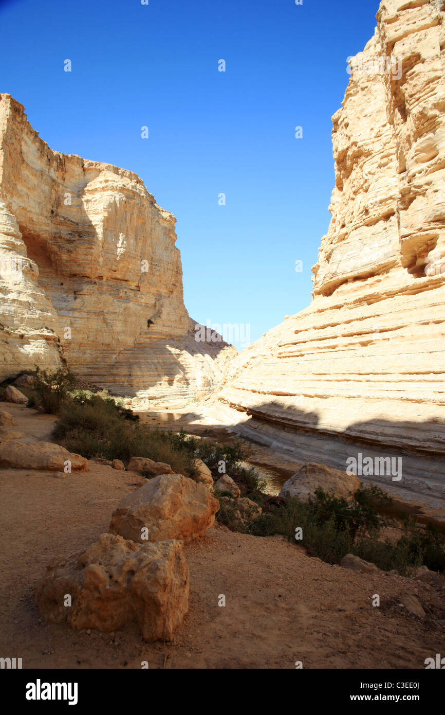 Canyon in the Israeli Negev Desert Stock Photo - Alamy