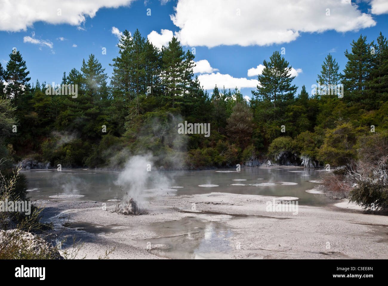 Mud Pool. Geothermal area in Wai-O-Tapu, Rotorua, North Island, New ...