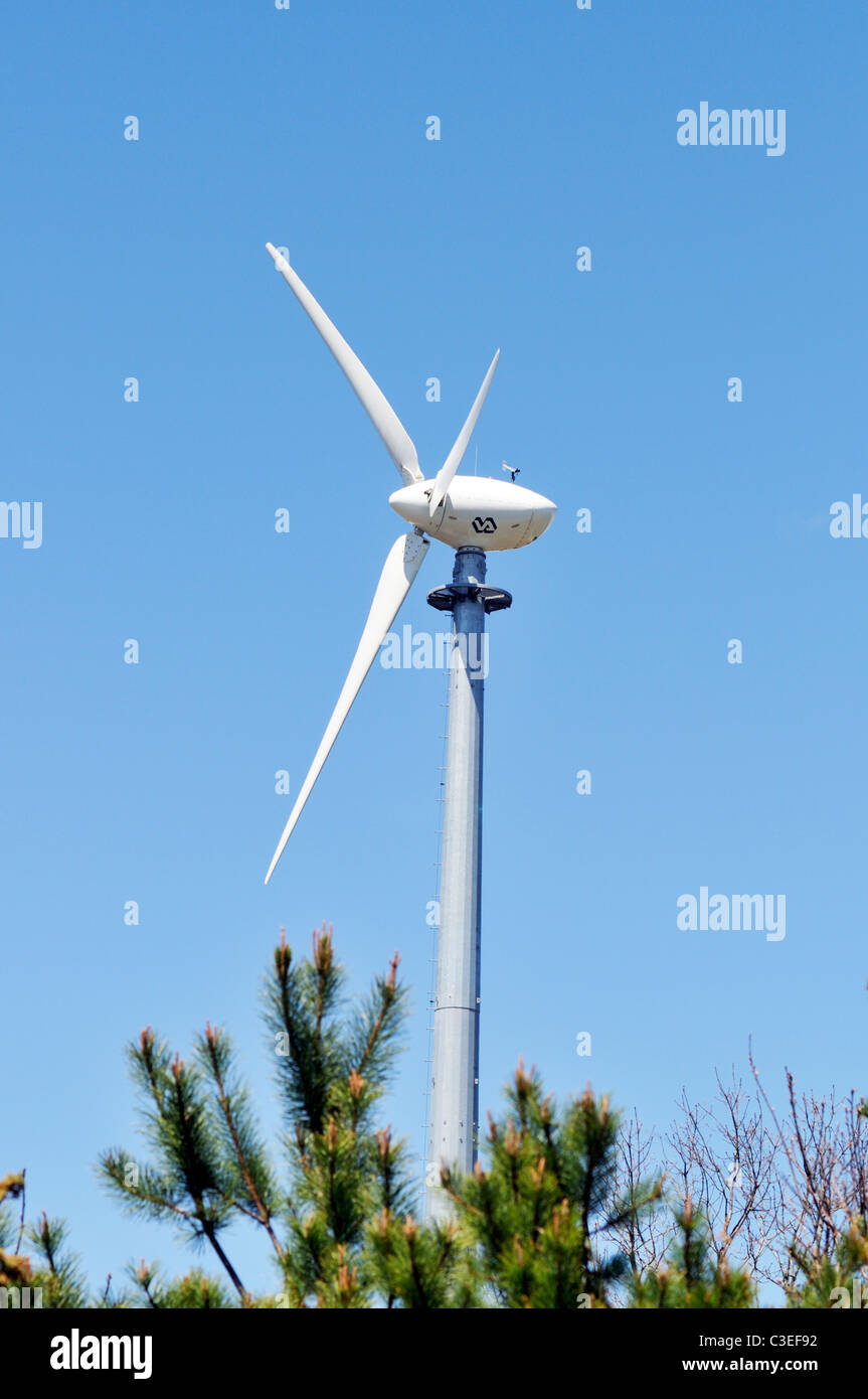 Wind turbine through trees on a sunny blue sky day Stock Photo - Alamy