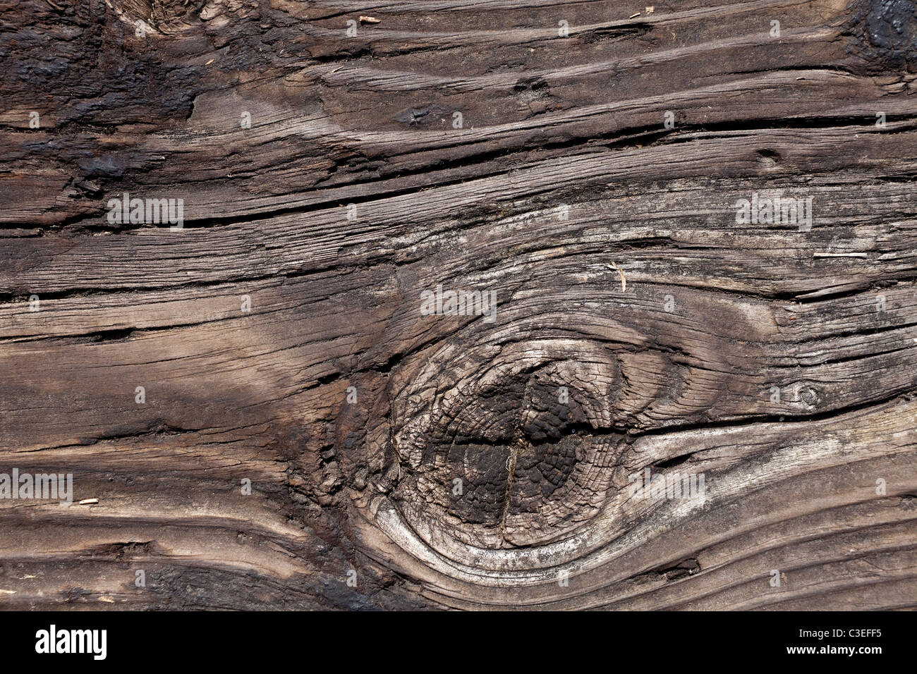 Rough Wood Knot High Resolution Stock Photography and Images - Alamy