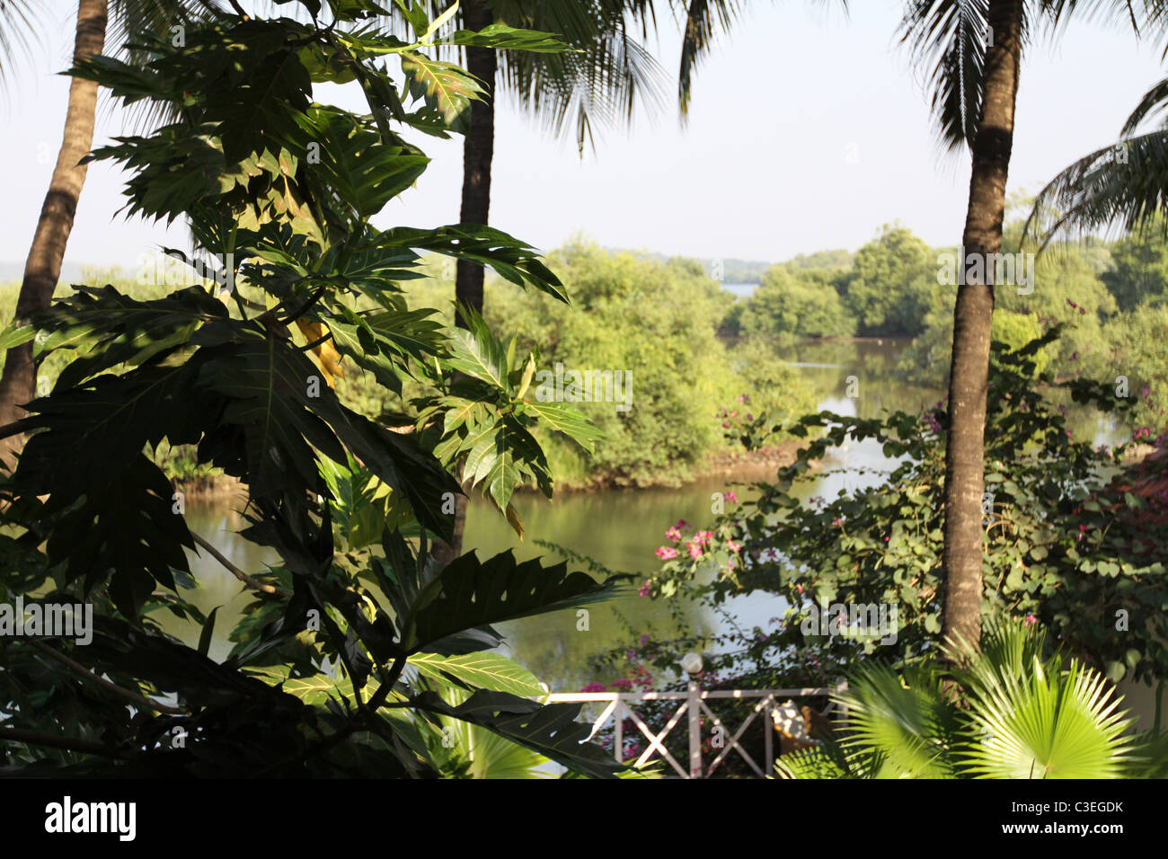 Luxury Boutique Hotel in Goa, India Stock Photo - Alamy