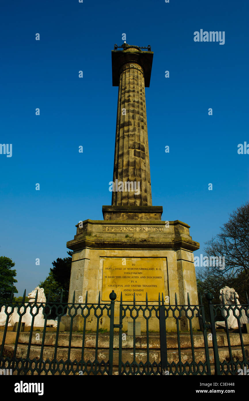 Alnwick tenantry column hi-res stock photography and images - Alamy