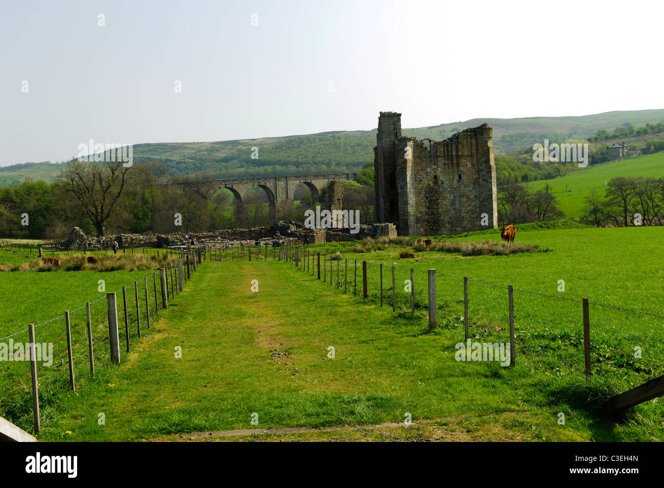 Ruins of edlingham castle hi-res stock photography and images - Alamy