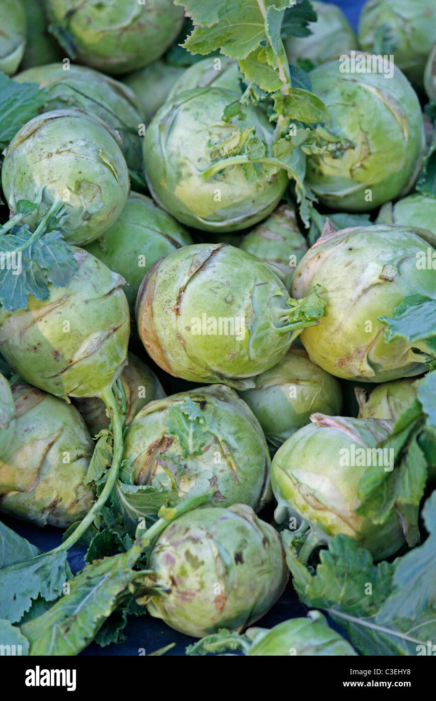 Vegetable, turnip or alkol, india Stock Photo - Alamy