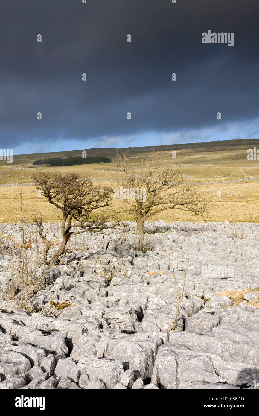 Wharfedale limestone yorks dales hi-res stock photography and images ...