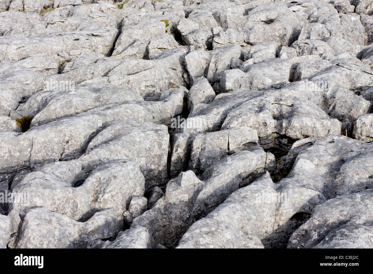 Limestone pavement in Wharfedale Yorkshire UK Stock Photo - Alamy