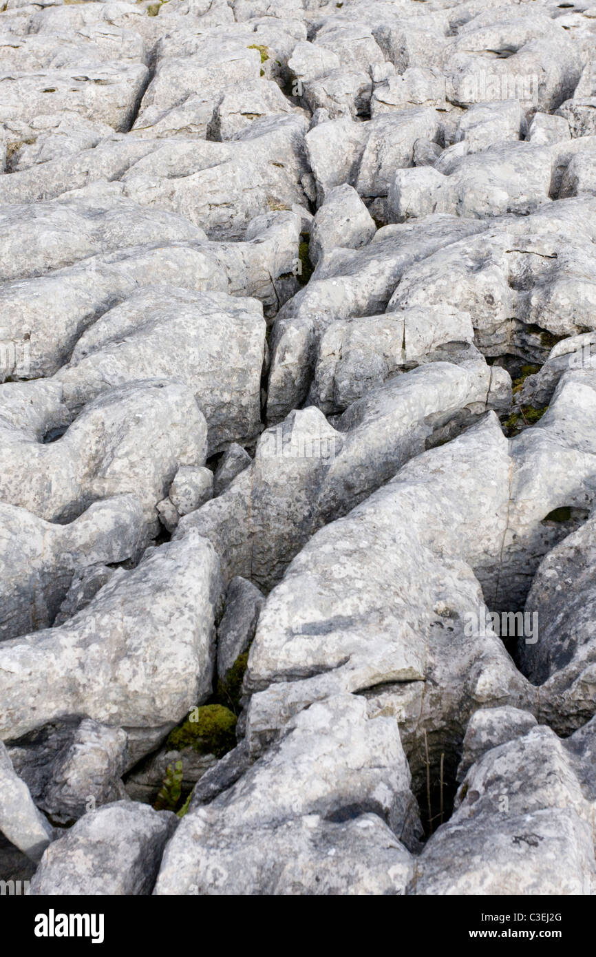 Limestone pavement in Wharfedale Yorkshire UK Stock Photo - Alamy