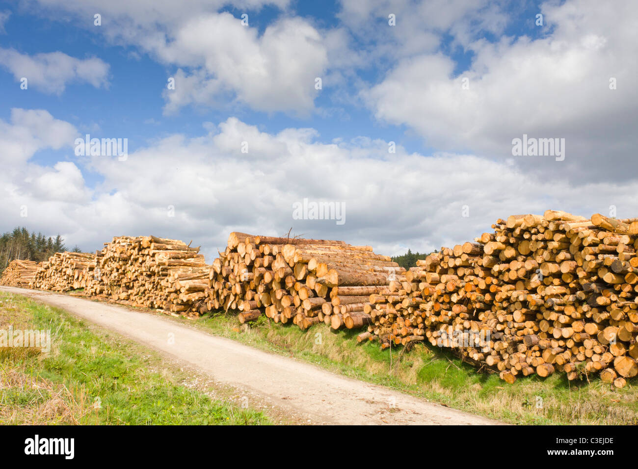 Moors yorkshire hi-res stock photography and images - Alamy