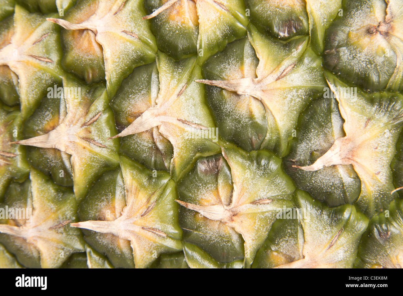 The skin of a pineapple with a rough texture Stock Photo - Alamy