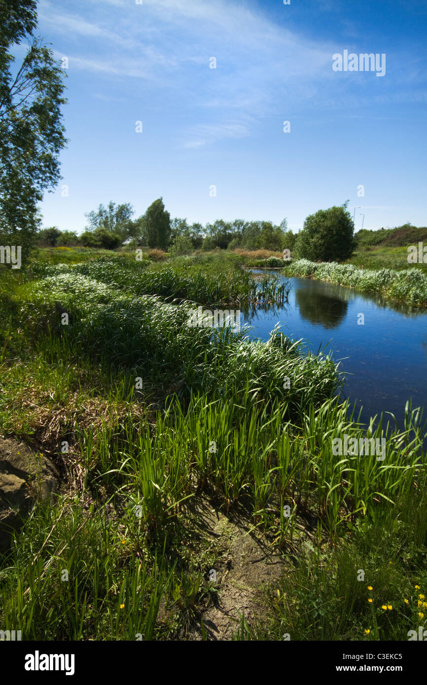 A photograph of a pond Stock Photo - Alamy