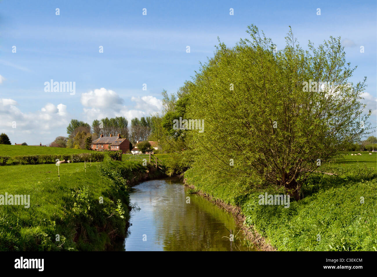 English countryside scene of the pretty village of Godney & river ...