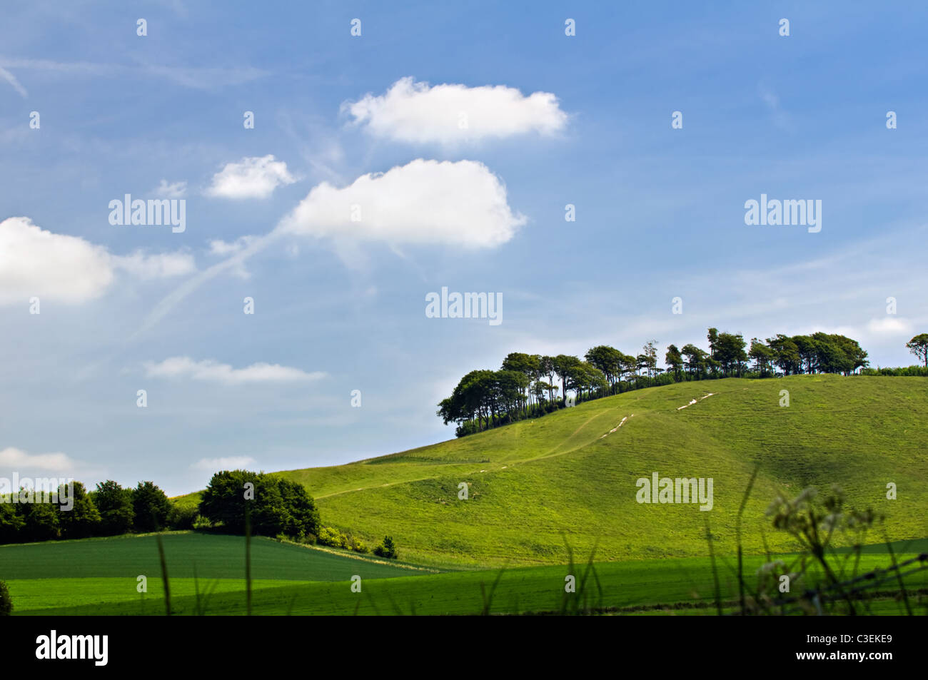 Rolling hills scene with green fields and blue sky taken at Cherhill ...