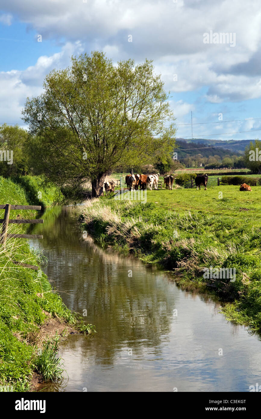 English countryside scene hi-res stock photography and images - Alamy