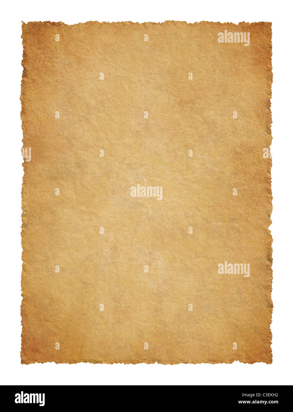 Parchment with ragged edges. Detailed old page papers. It is isolated ...