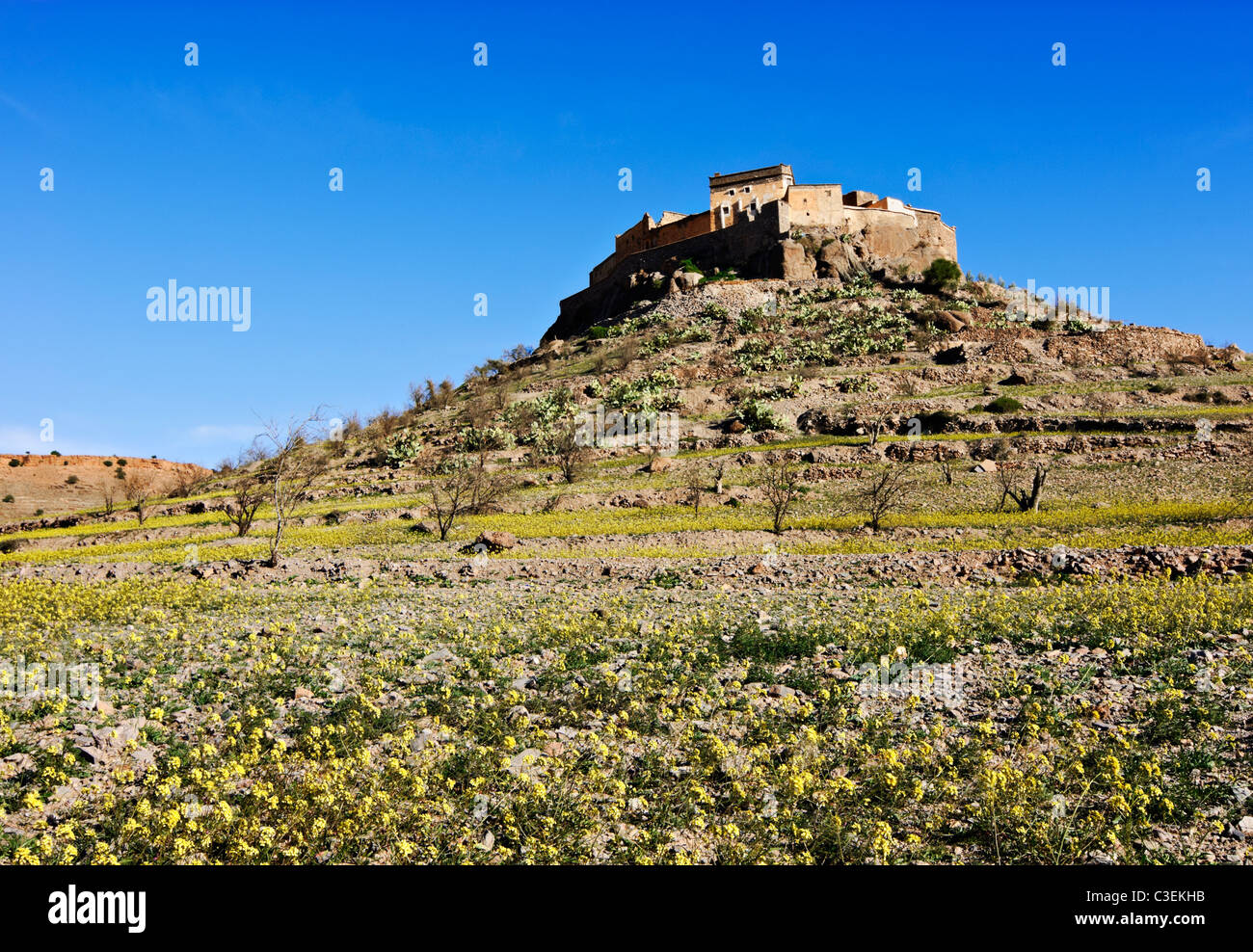 The fortified village of Tizorgan, Tafraoute, Anti Atlas, Morocco ...