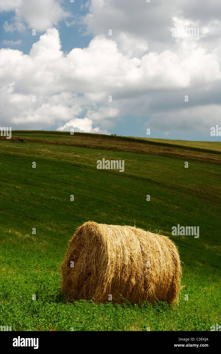 Single hay bale in a green field under grey stormy sky Stock Photo - Alamy
