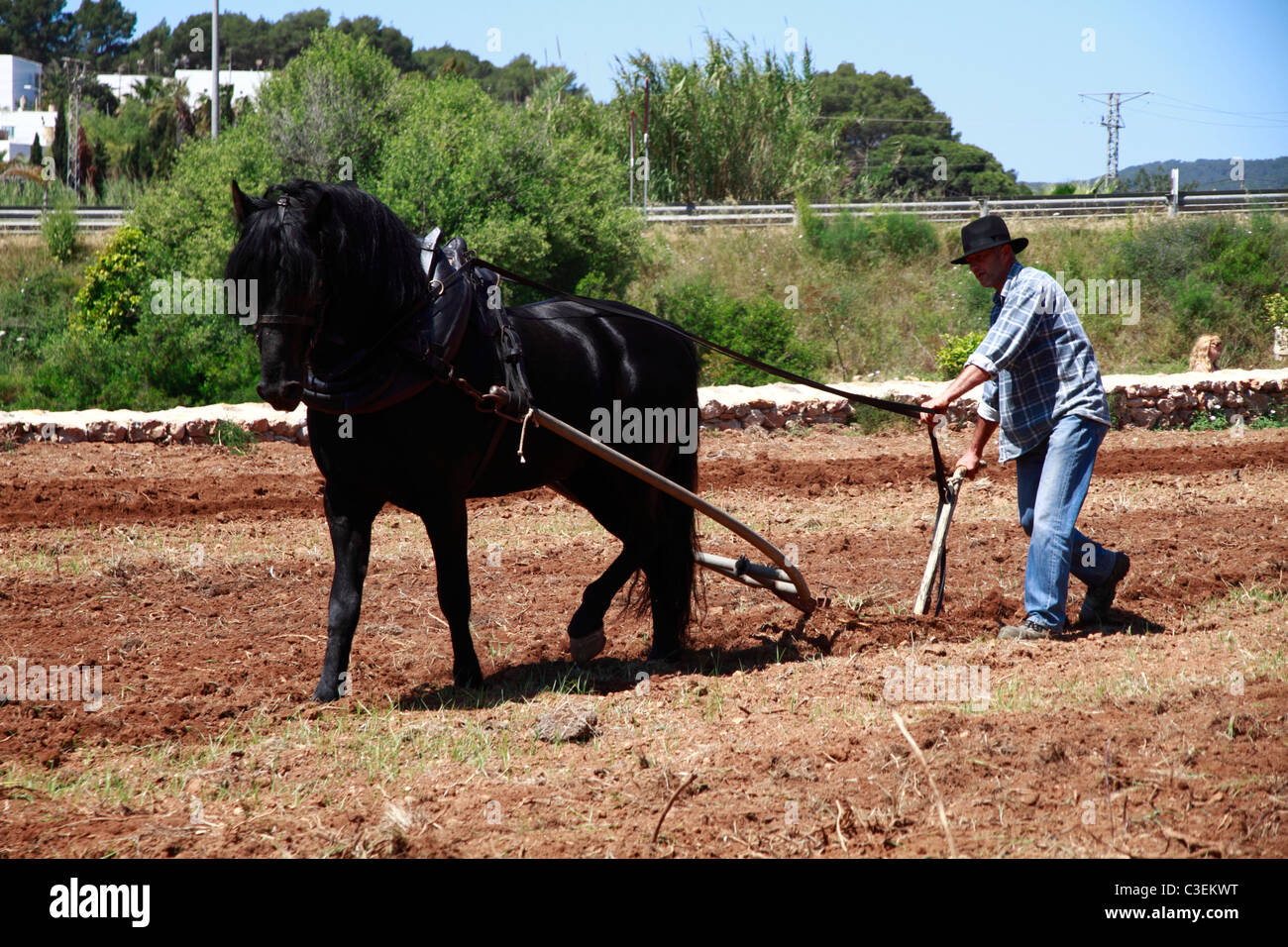 Farmer horse-ploughing the field Stock Photo - Alamy