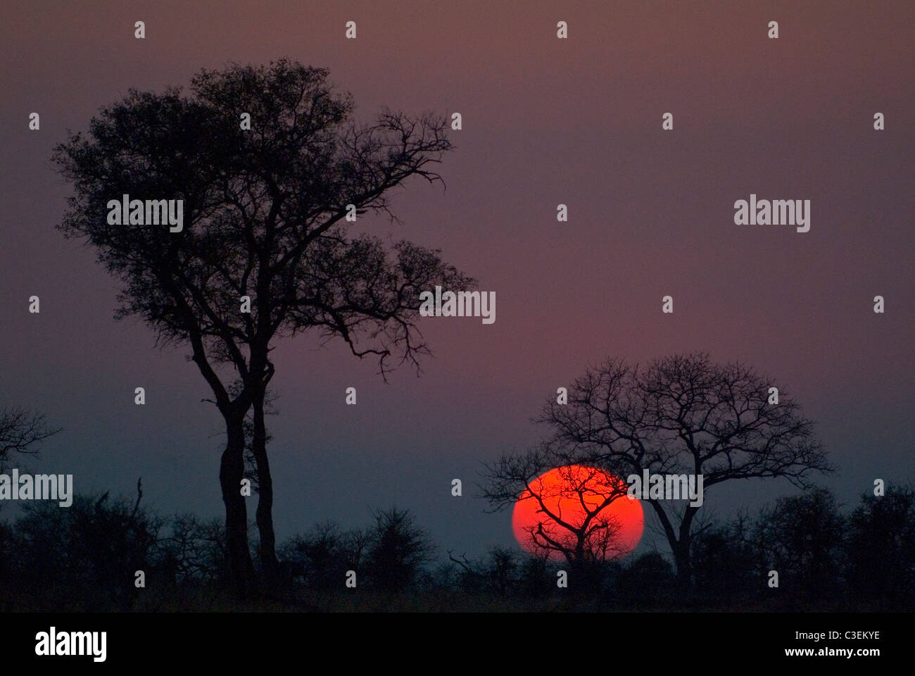 South African landscapes include desert, grassland, Bushveld and ...