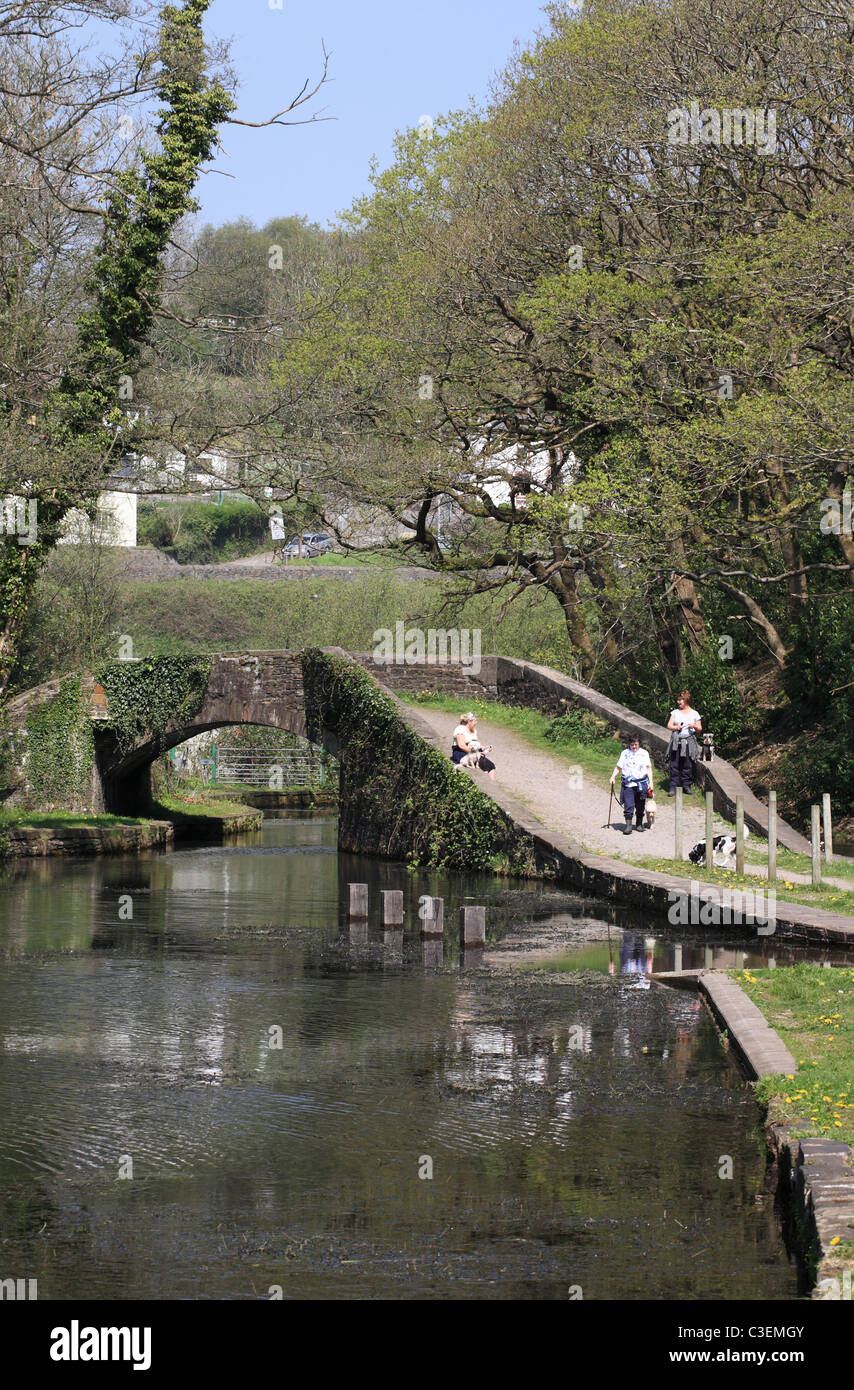 Three women with dogs at Aberdulais canal basin, Neath, South Wales, UK ...