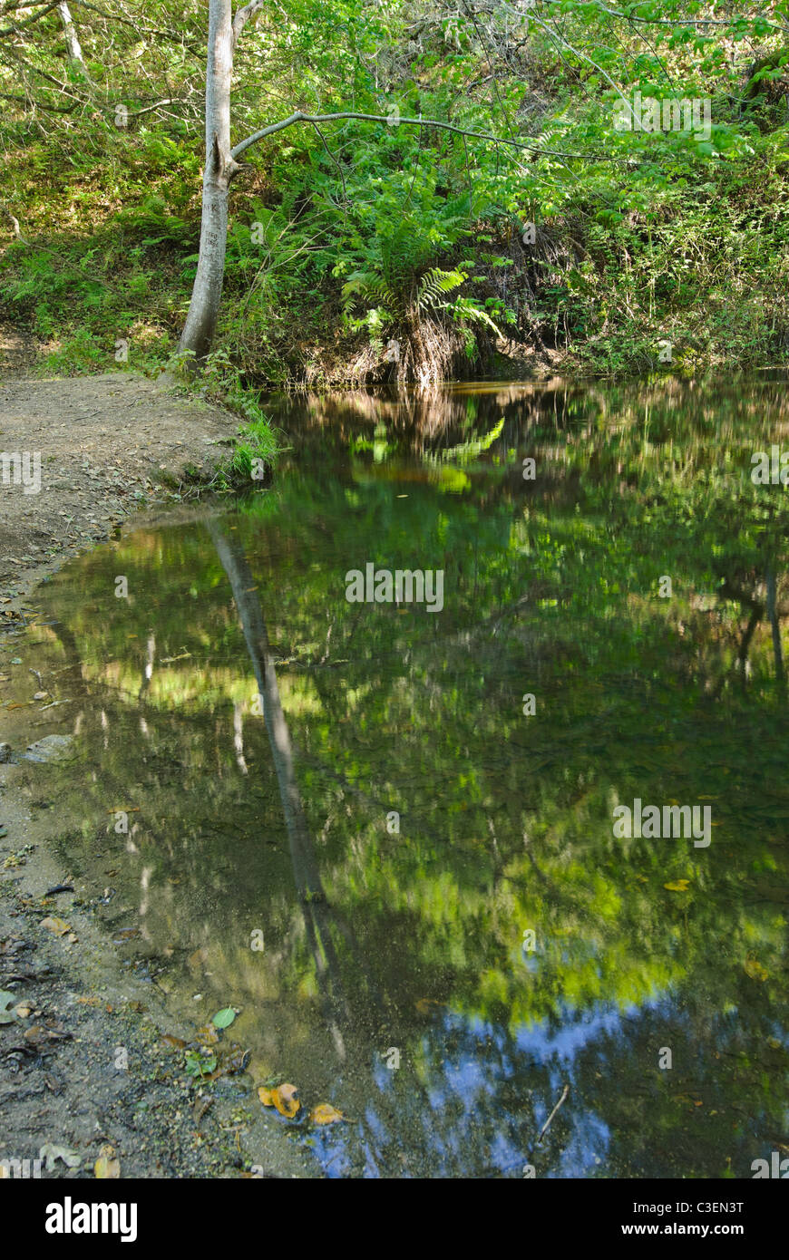 Garland ranch regional park hi-res stock photography and images - Alamy