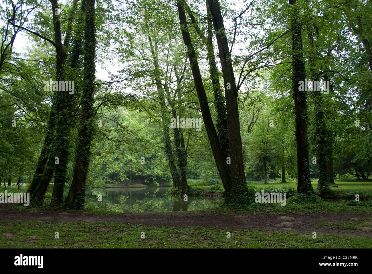 Lake in Maksimir park, Zagreb, Croatia Stock Photo - Alamy