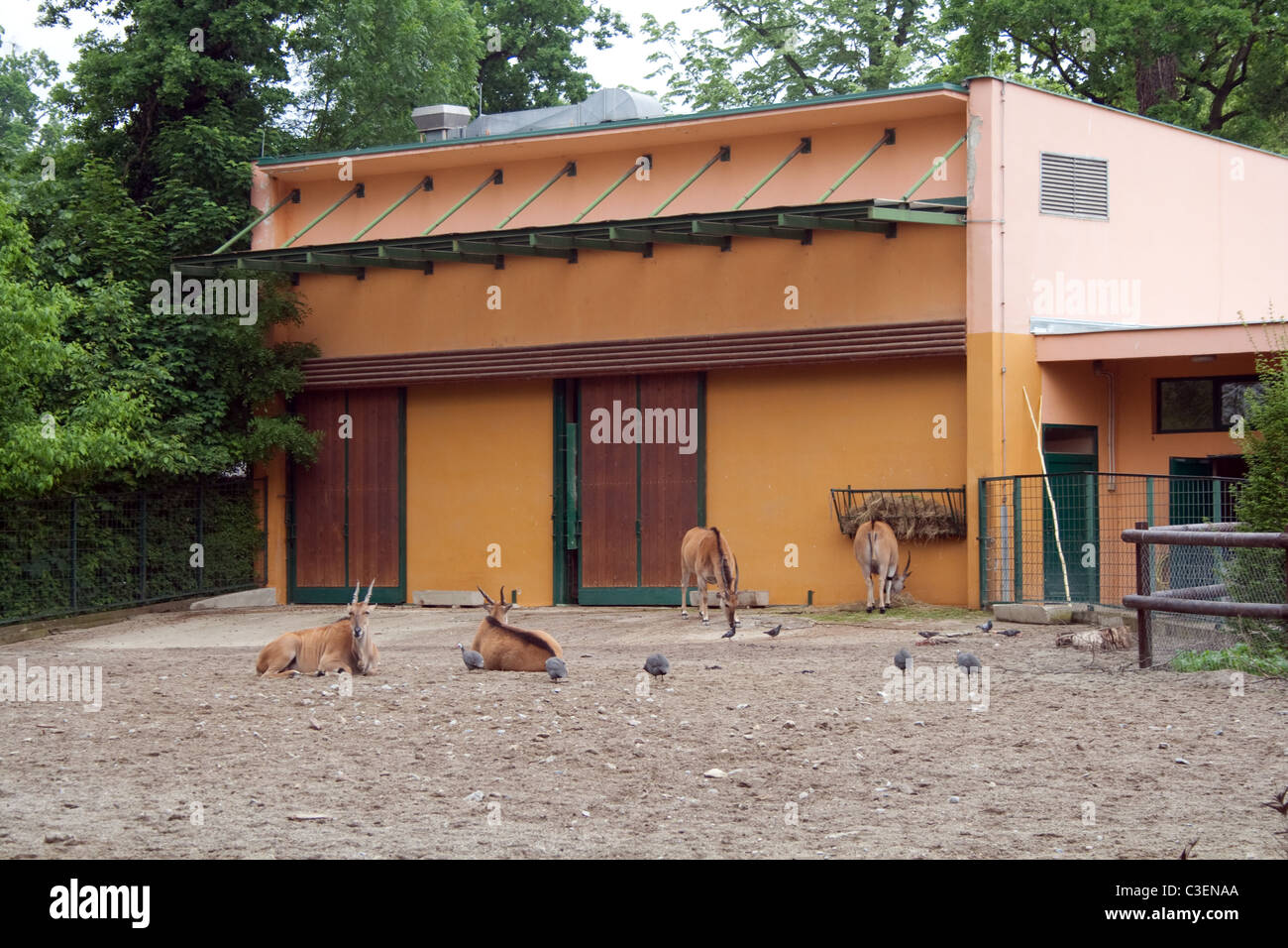 Animals in Zagreb ZOO park, Maksimir, Zagreb, Croatia Stock Photo - Alamy
